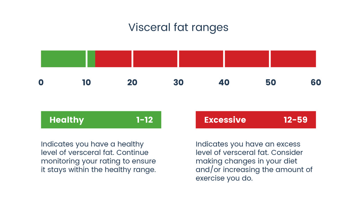 Visceral Fat What Is Visceral Fat And Why Is It Important Tanita Europe